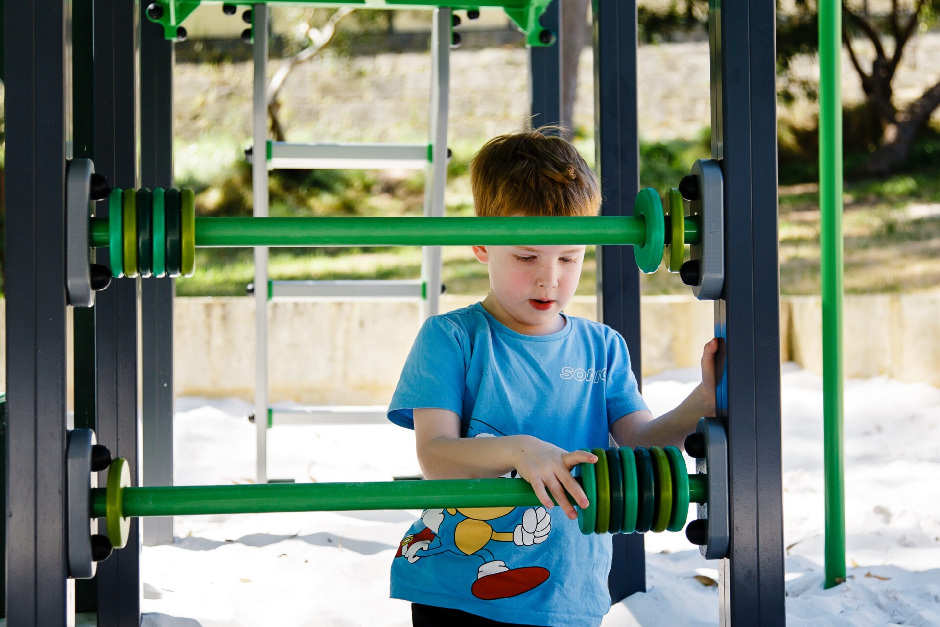 Castlecrag Park - Active Discovery